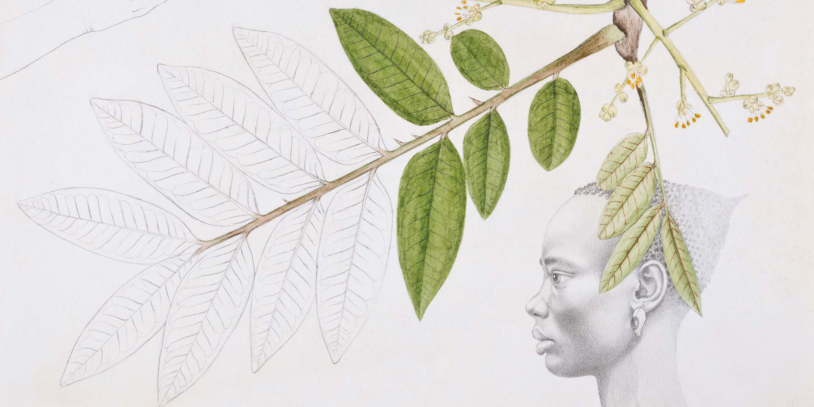 Rafael Trelles – Official Artist Representation & Gallery