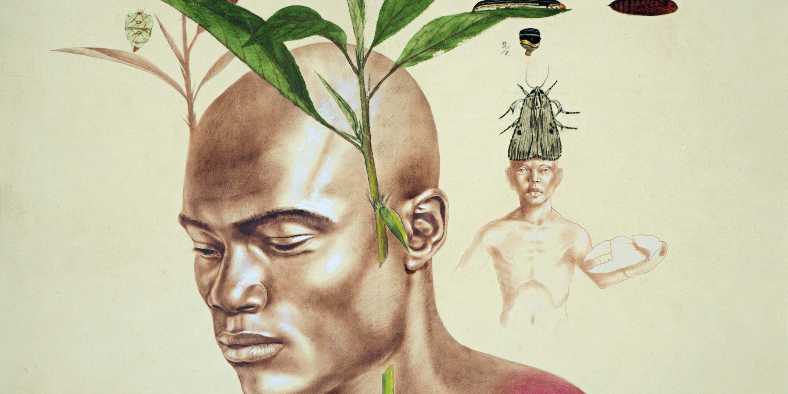 Rafael Trelles – Official Artist Representation & Gallery