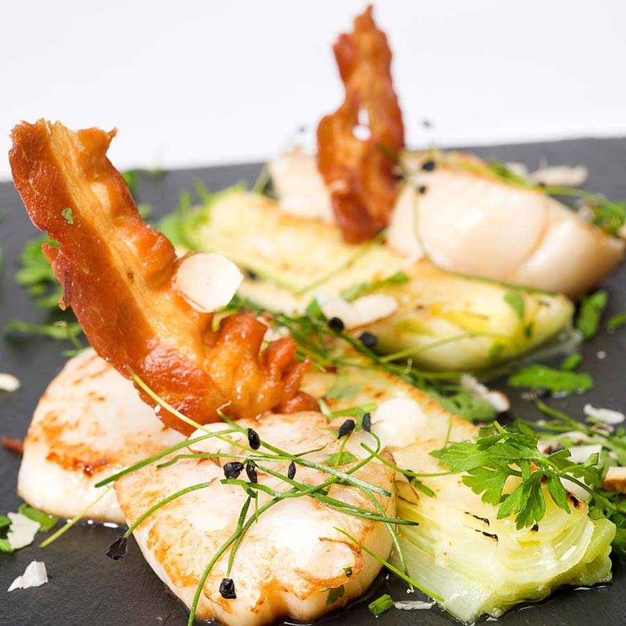 OCTOBER GALLERY: SPACE & VENUE HIRE, CENTRAL LONDON: GALLERY & Courtyard